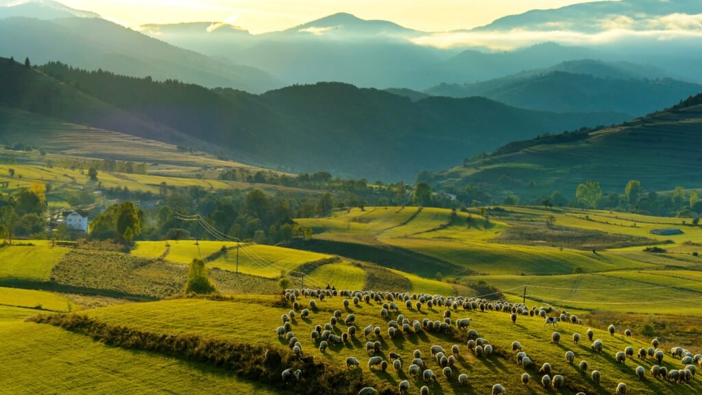 Transylvania Trail | Discover Europe’s Last Wilderness
